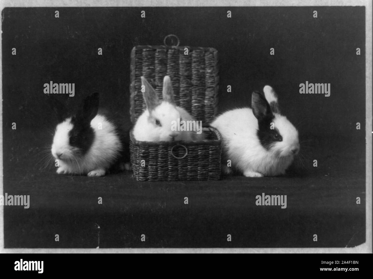 Three in one Black and White Stock Photos & Images - Alamy