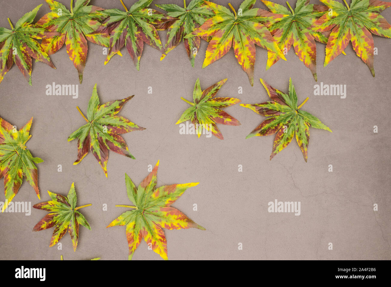 Seamless pattern autumn falling hi-res stock photography and images - Alamy