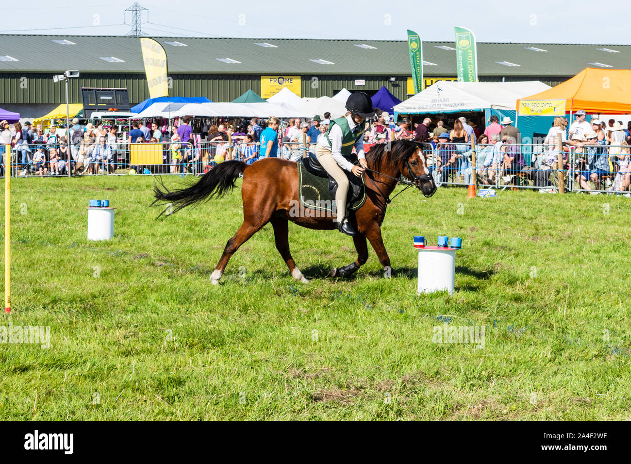 A young rider and their pony demonstrating their skills in one of the ...