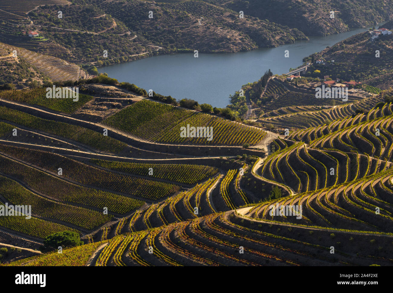 UNESCO World Heritage, the beautiful endless lines of Douro Valley ...