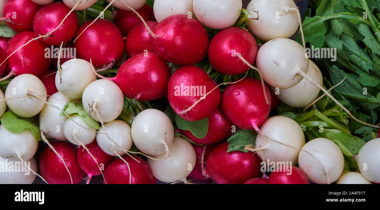Turnips Red Radish High Resolution Stock Photography and Images - Alamy