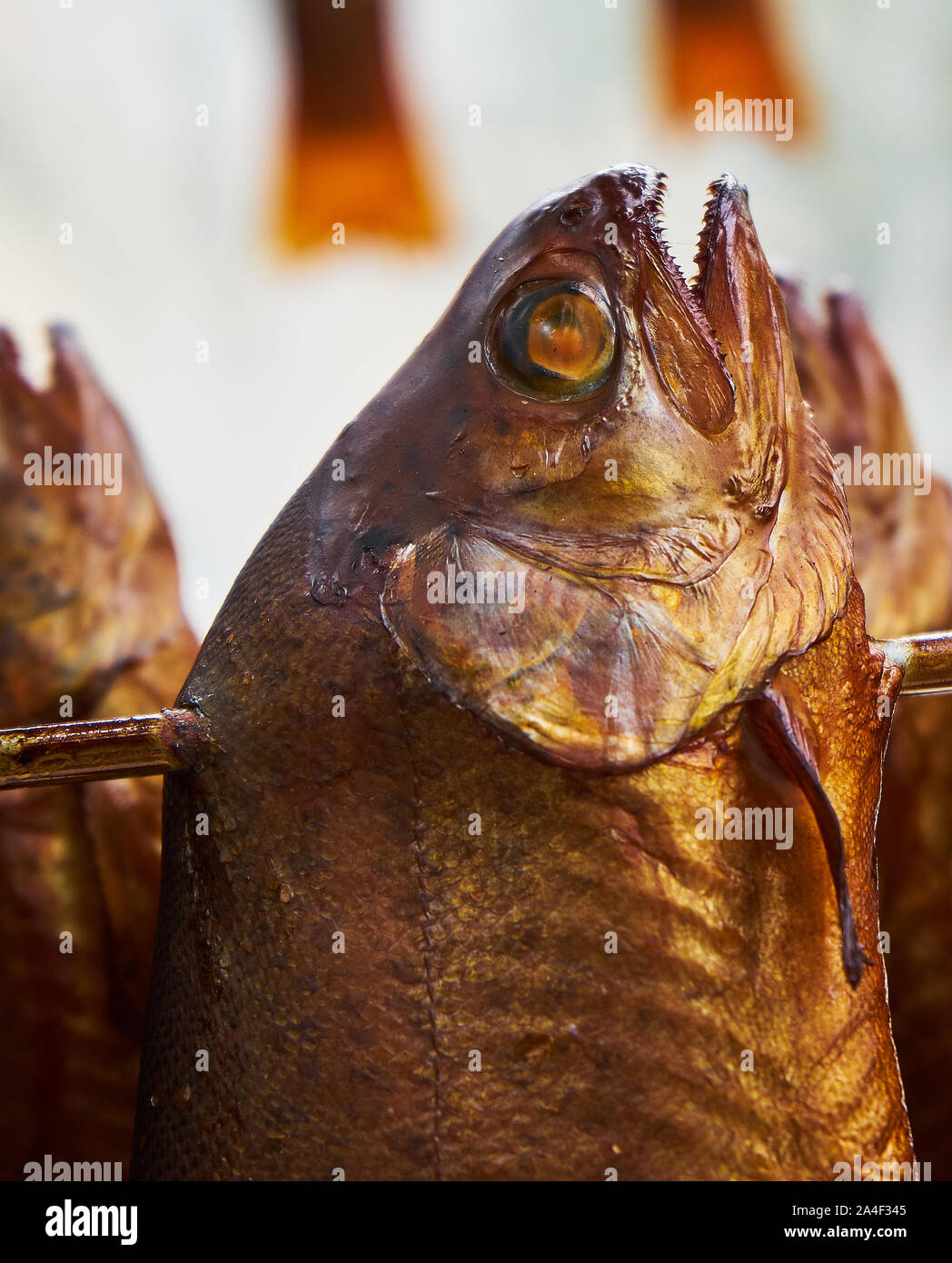 Heads in charcoal hi-res stock photography and images - Alamy