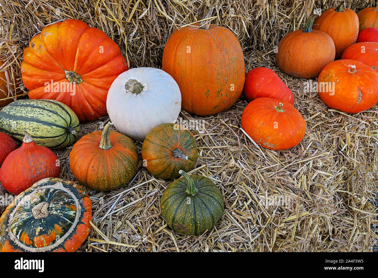 Harvest straw still life hi-res stock photography and images - Alamy