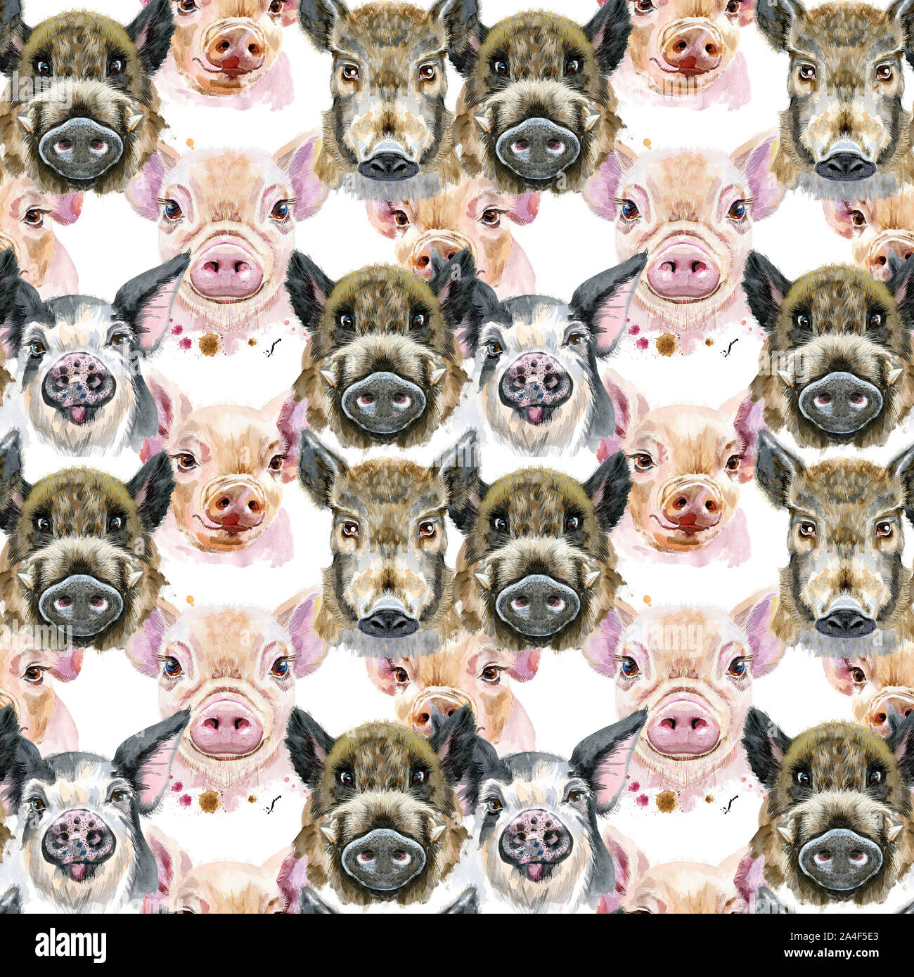 Seamless pattern of watercolor portrait pigs and boar Stock Photo - Alamy