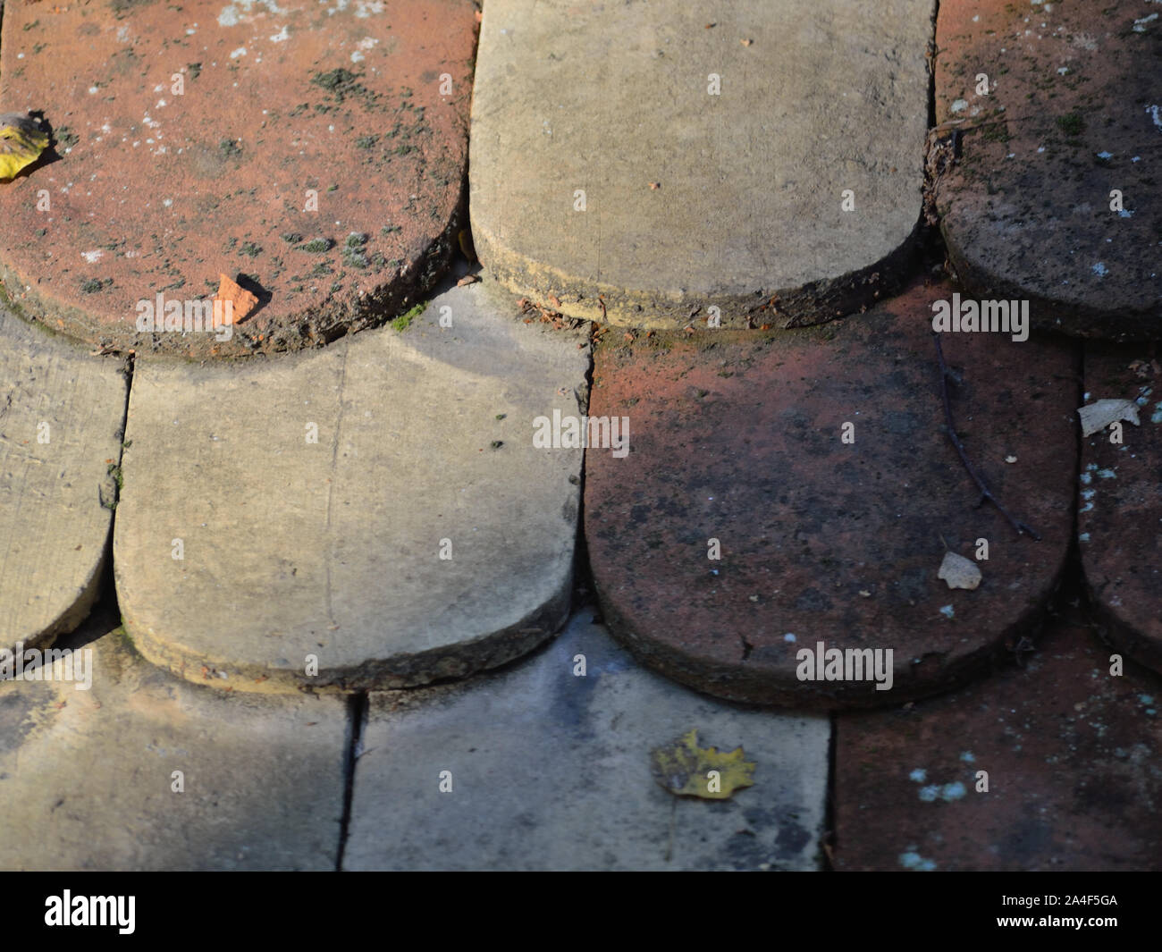 Old rounded roof tiles Stock Photo - Alamy