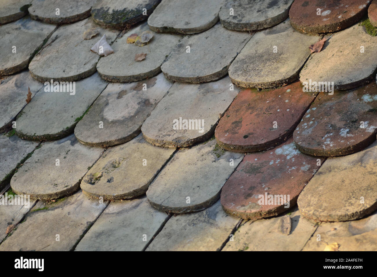 Old rounded roof tiles Stock Photo - Alamy