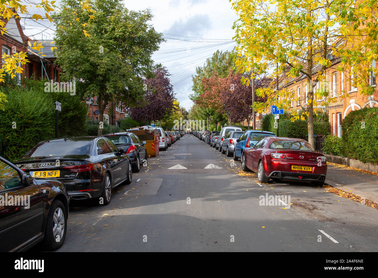 Lloyd park forest road hi-res stock photography and images - Alamy
