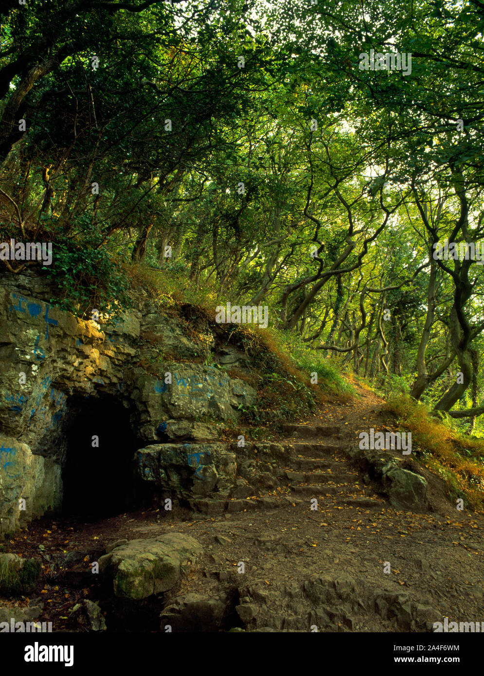 View SSE at the entrance & part of the spoil heap of Fish Mine ...