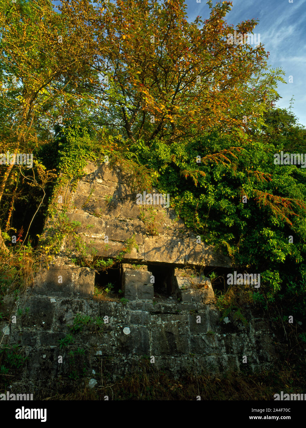 Stone quarry uk 19th century hi-res stock photography and images - Alamy