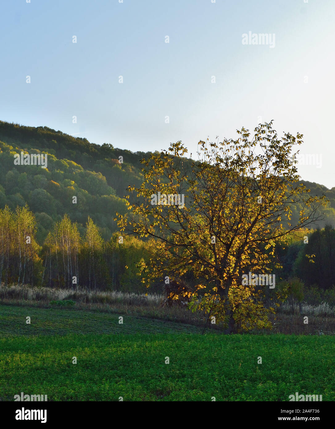 Serbian landscape hi-res stock photography and images - Alamy