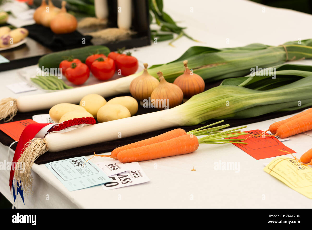Vegetable competition at Wensleydale Agricultural Show Stock Photo - Alamy