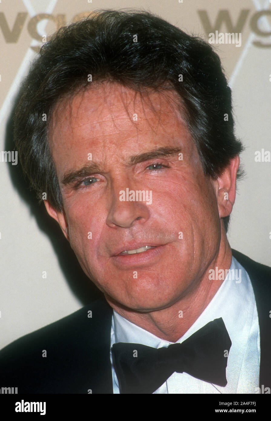 Warren Beatty, 1993, Photo By Michael Ferguson/PHOTOlink Stock Photo ...