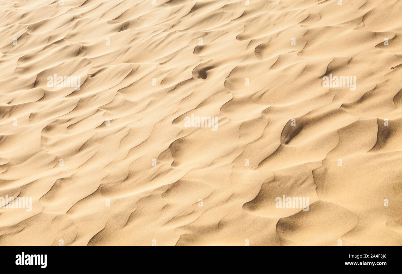 Wind blown sand, Thar desert of Rajasthan, India Stock Photo - Alamy