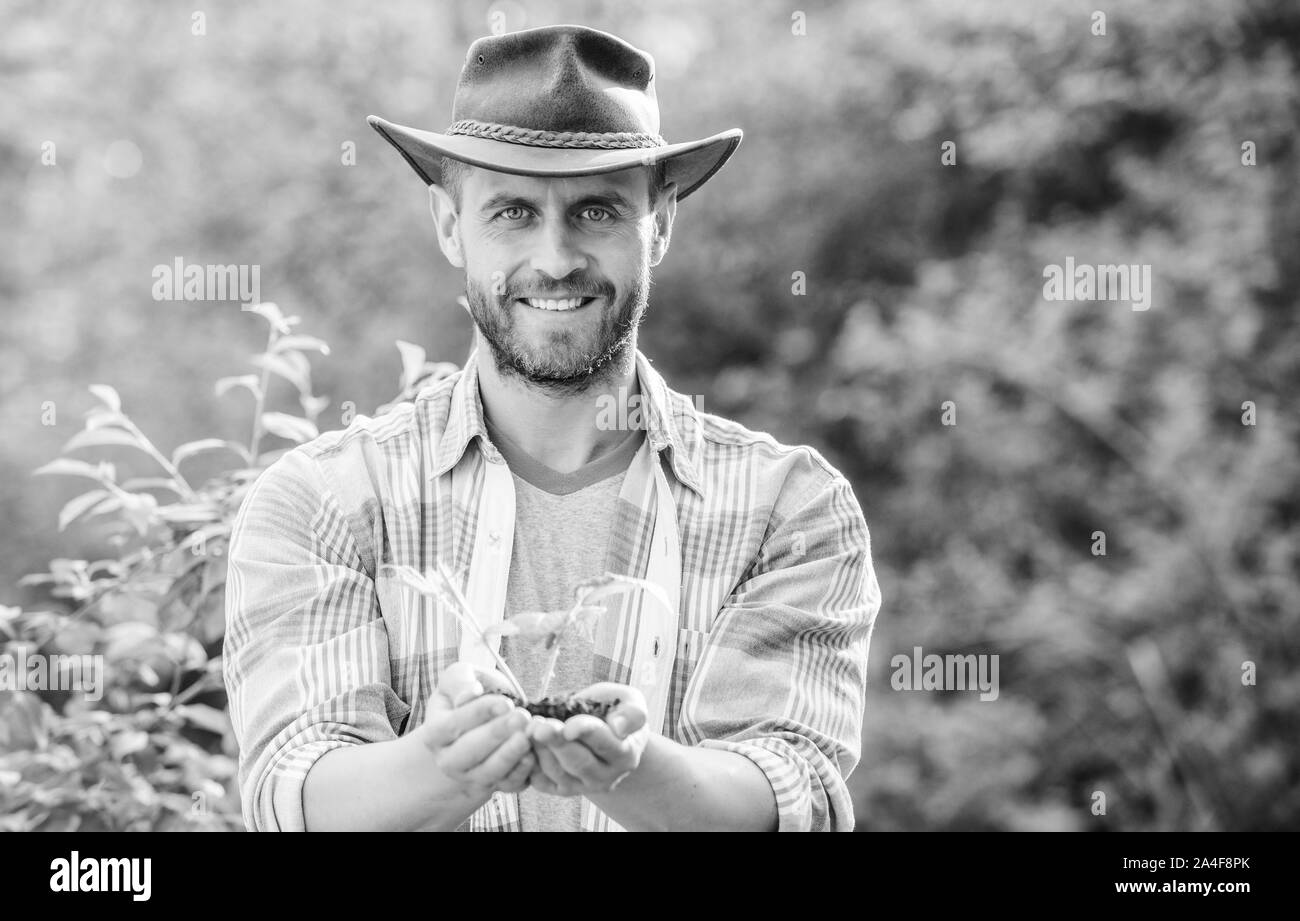 Farmer hands sorting hi-res stock photography and images - Alamy