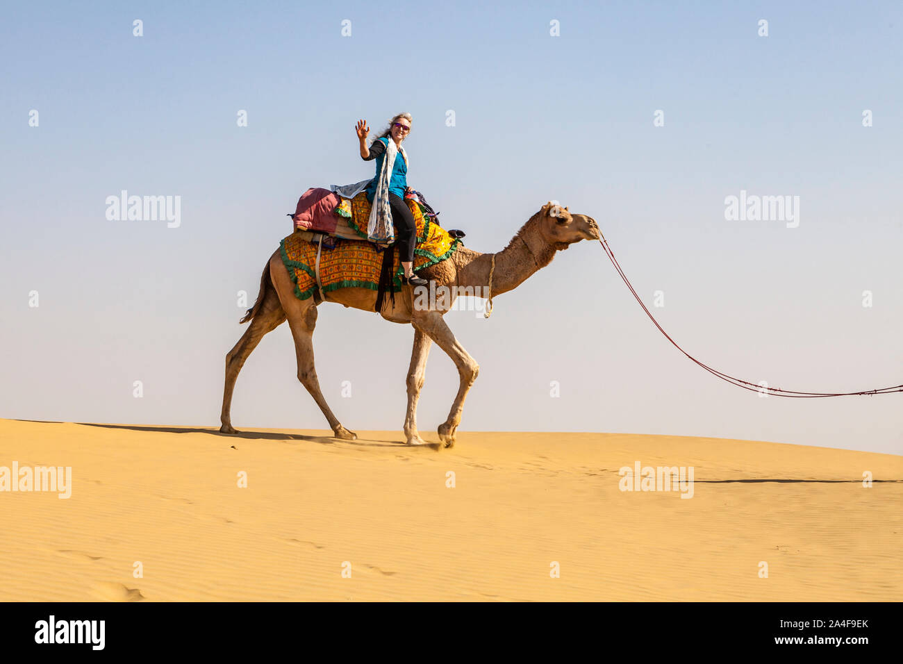 A female tourist on a camel trek waving for a picture atop her camel ...