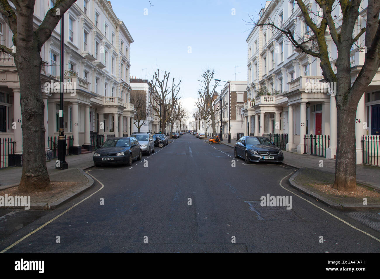 Recently pollarded street trees on Regency era Gloucester Road, Pimlico ...