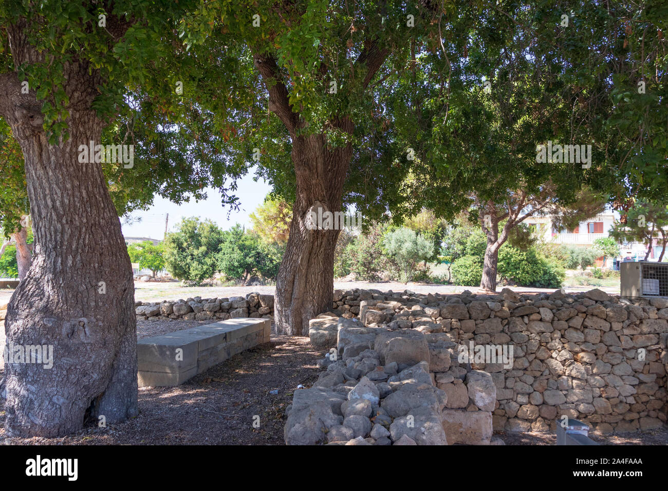 Sitting in shade under trees hi-res stock photography and images - Alamy