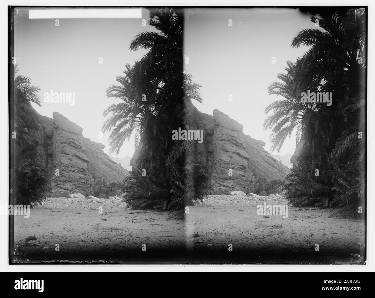 To Sinai via the Red Sea, Tor, and Wady Hebran. Scene in Wady Hebran ...