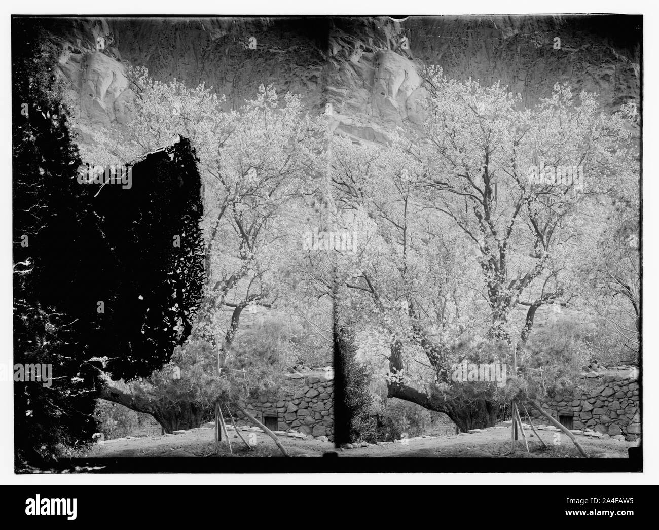 Wady hebron hi-res stock photography and images - Alamy