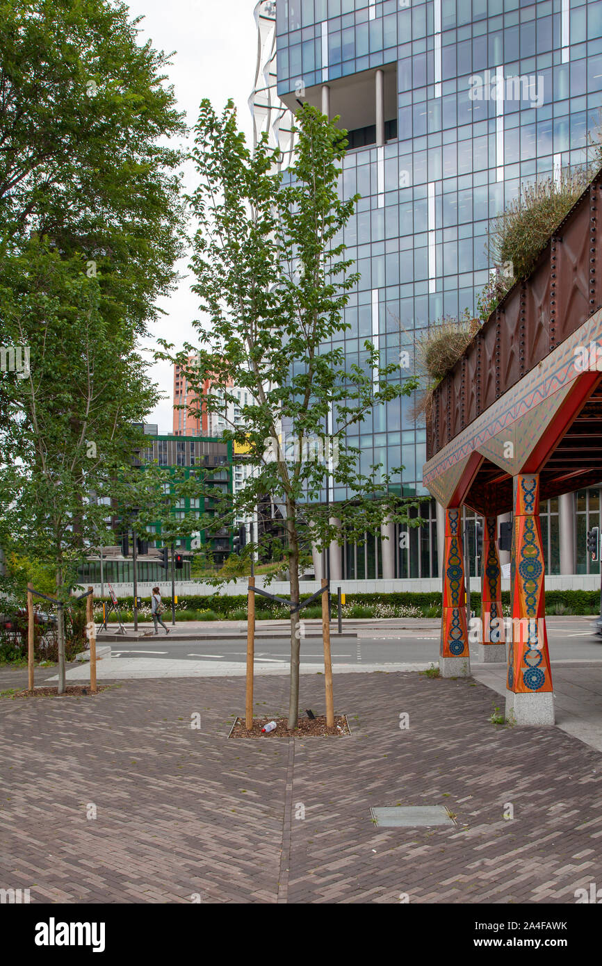 A newly planted Elm tree (Ulmus 'lutece') at Nine Elms, Vauxhall ...
