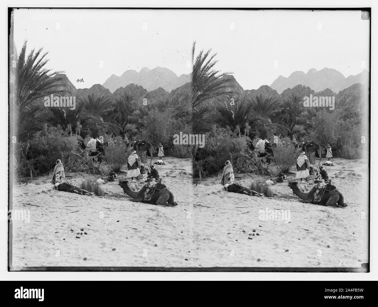 To Sinai via the desert. Wady Feiran and Jebel Serbal Stock Photo - Alamy