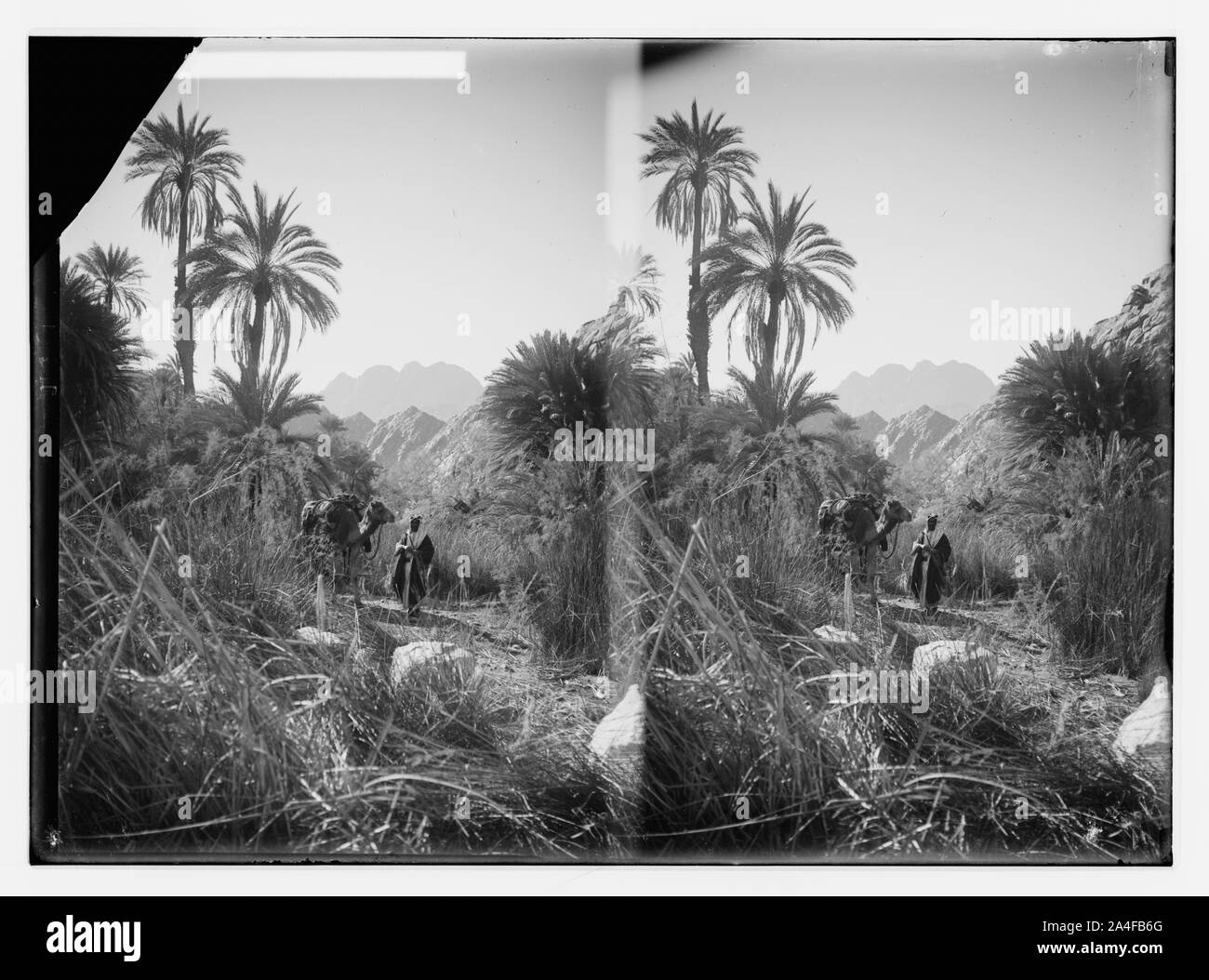 To Sinai via the desert. Wady Feiran and Jebel Serbal Stock Photo - Alamy