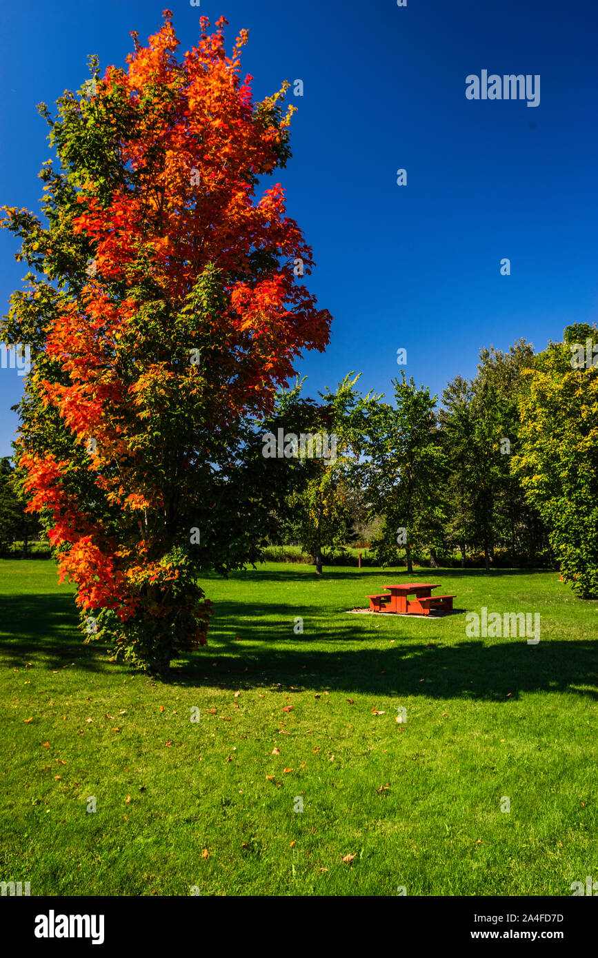 Fall Foliage Rest Stop Nouvelle-Ouest, Quebec, CA Stock Photo - Alamy