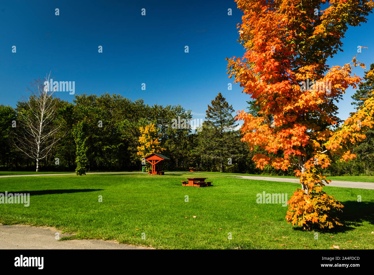 Fall Foliage Rest Stop Nouvelle-Ouest, Quebec, CA Stock Photo - Alamy