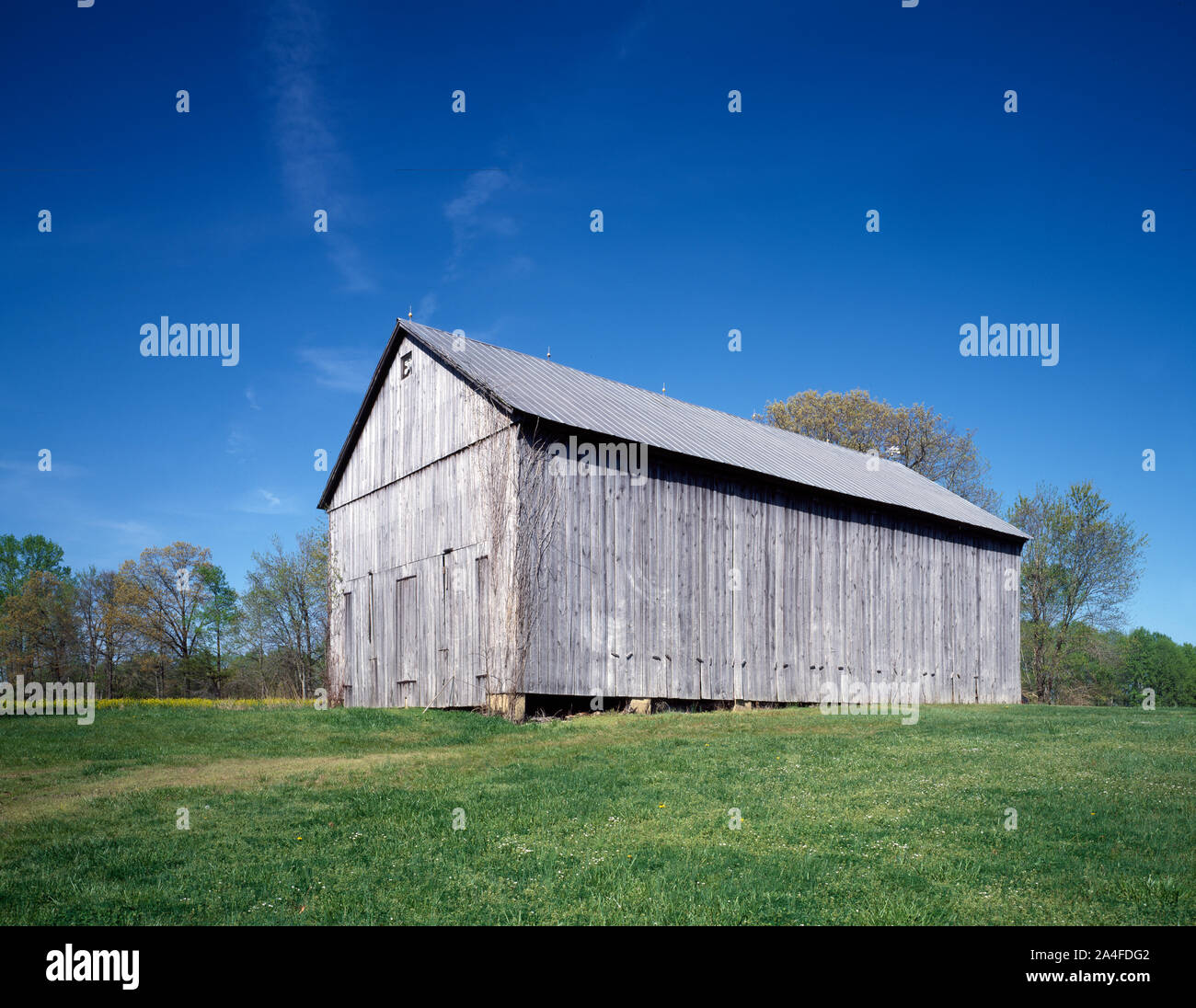 Tobacco-curing barn near Budd's Creek, Maryland Stock Photo - Alamy