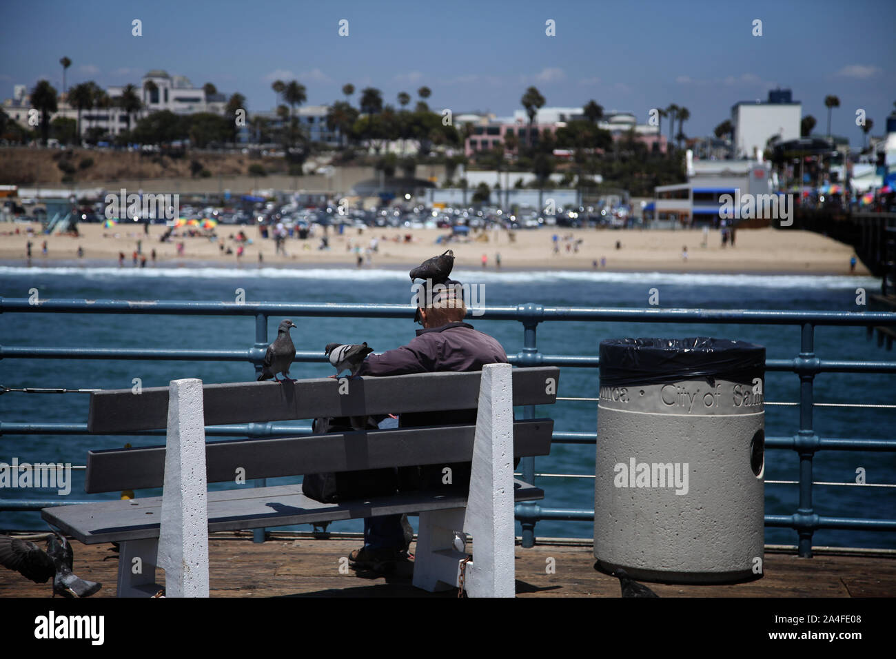 Santa Monica Pier, Los Angeles, California, USA - A elderly man sits on ...