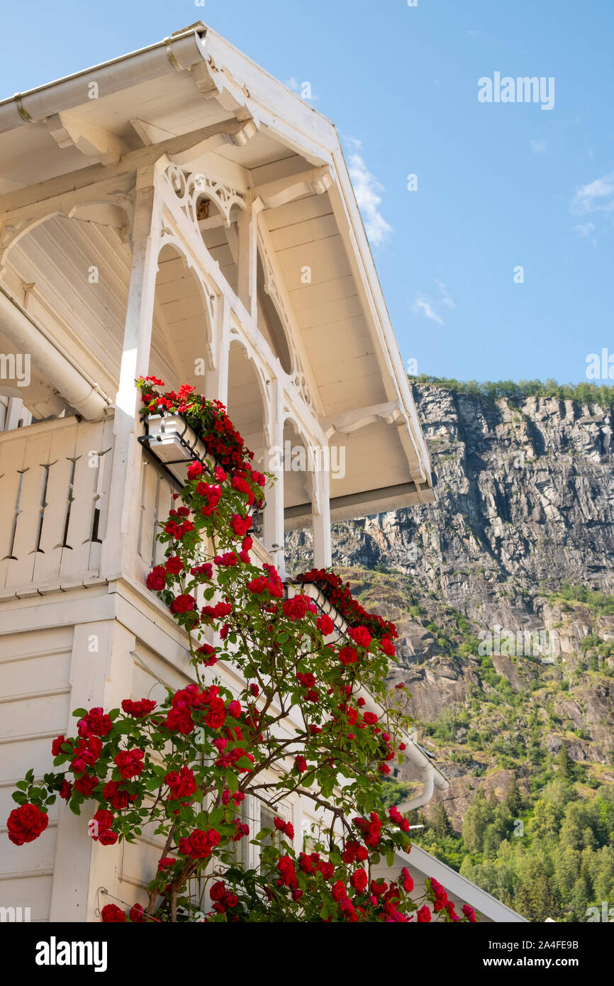 Solvorn Lustra Fjord High Resolution Stock Photography and Images - Alamy