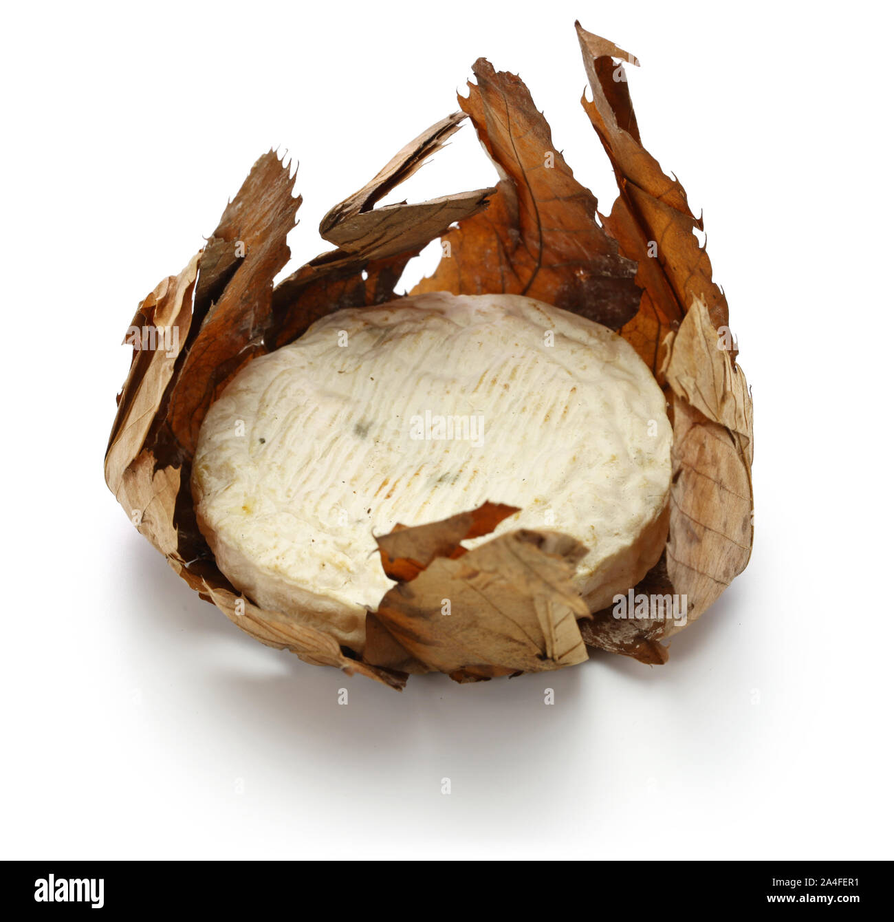 banon a la feuille, french goat cheese is wrapped in chestnut leaves ...