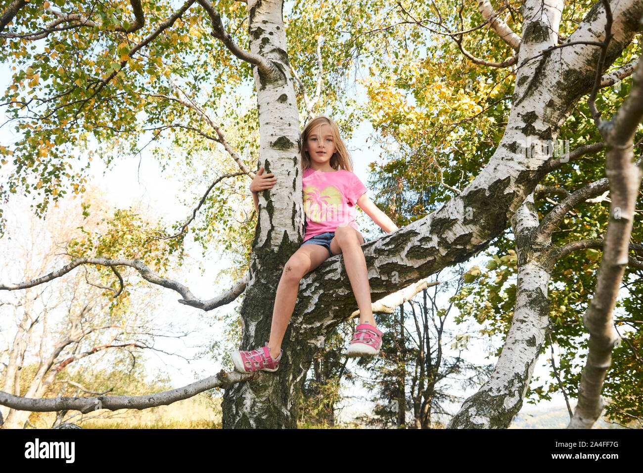 Child brave cute girl climbing on tree Stock Photo - Alamy