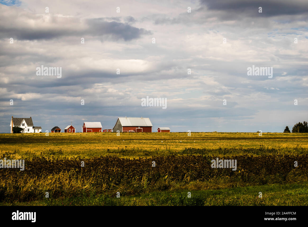 Nash creek hi-res stock photography and images - Alamy