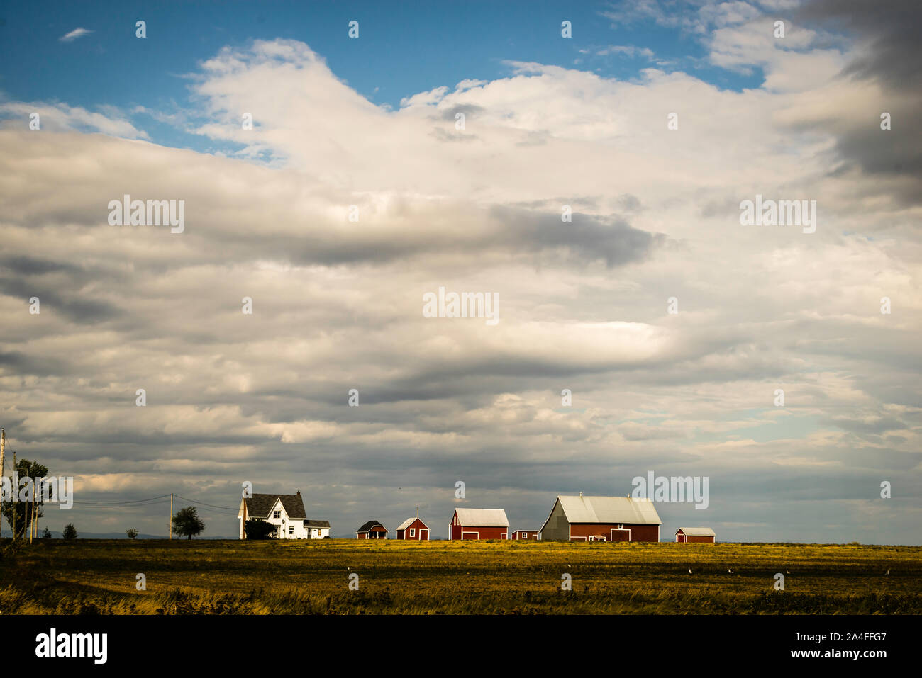 New brunswick farm hi-res stock photography and images - Alamy