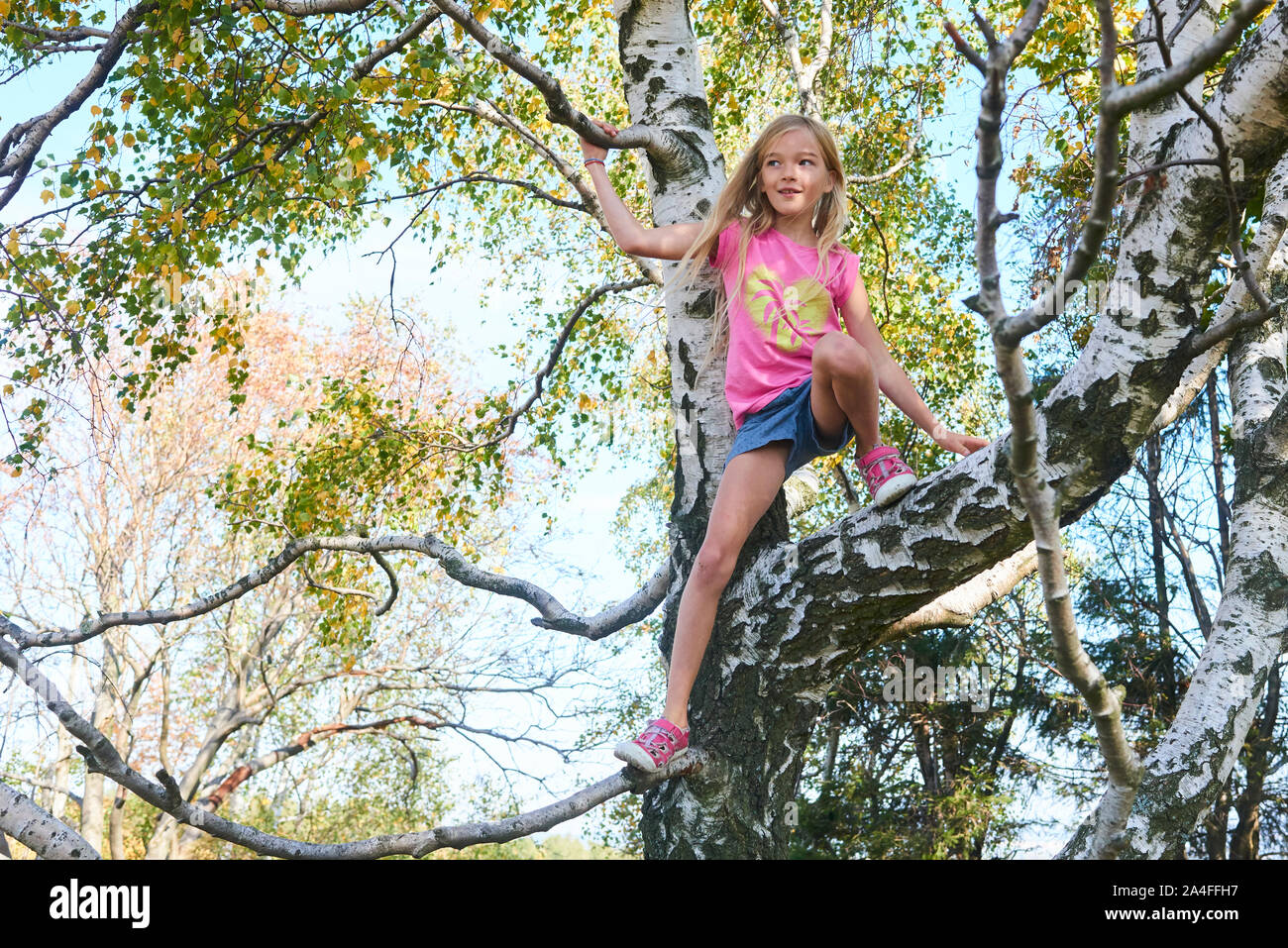 Child brave cute girl climbing on tree Stock Photo - Alamy
