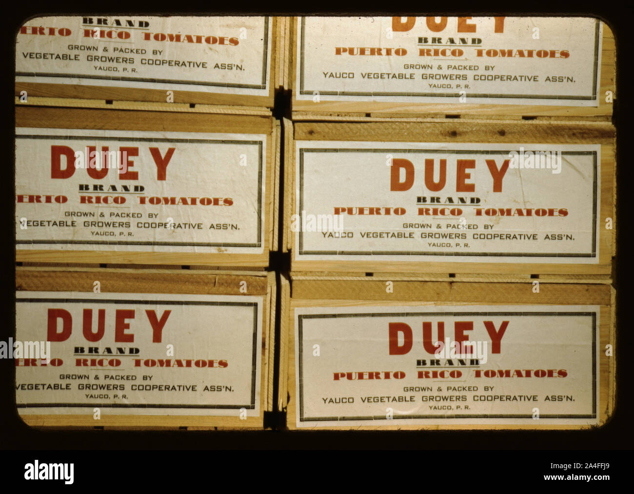 Tomato crates at the Yauco cooperative tomato growers' association ...