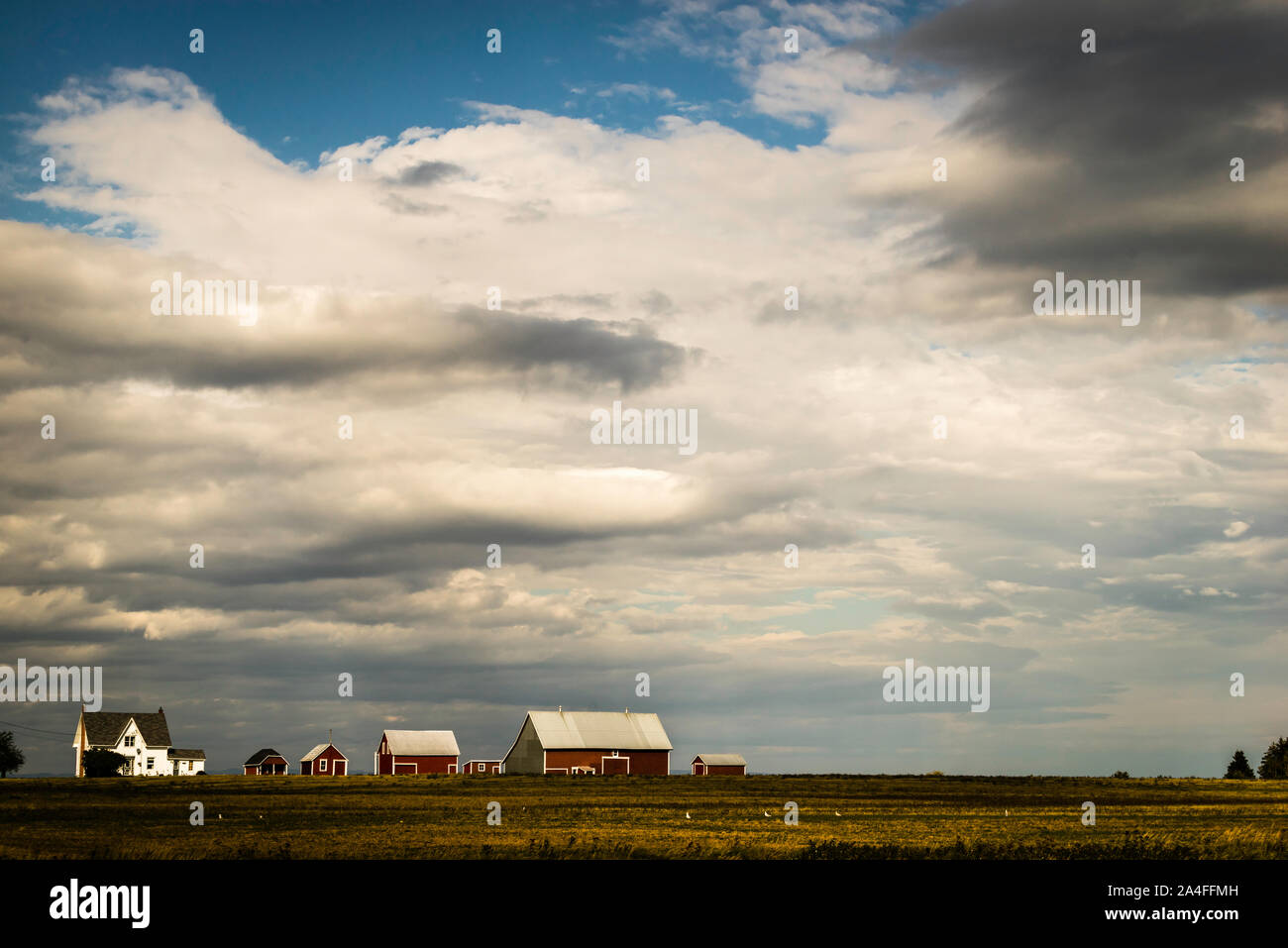 Nash creek hi-res stock photography and images - Alamy