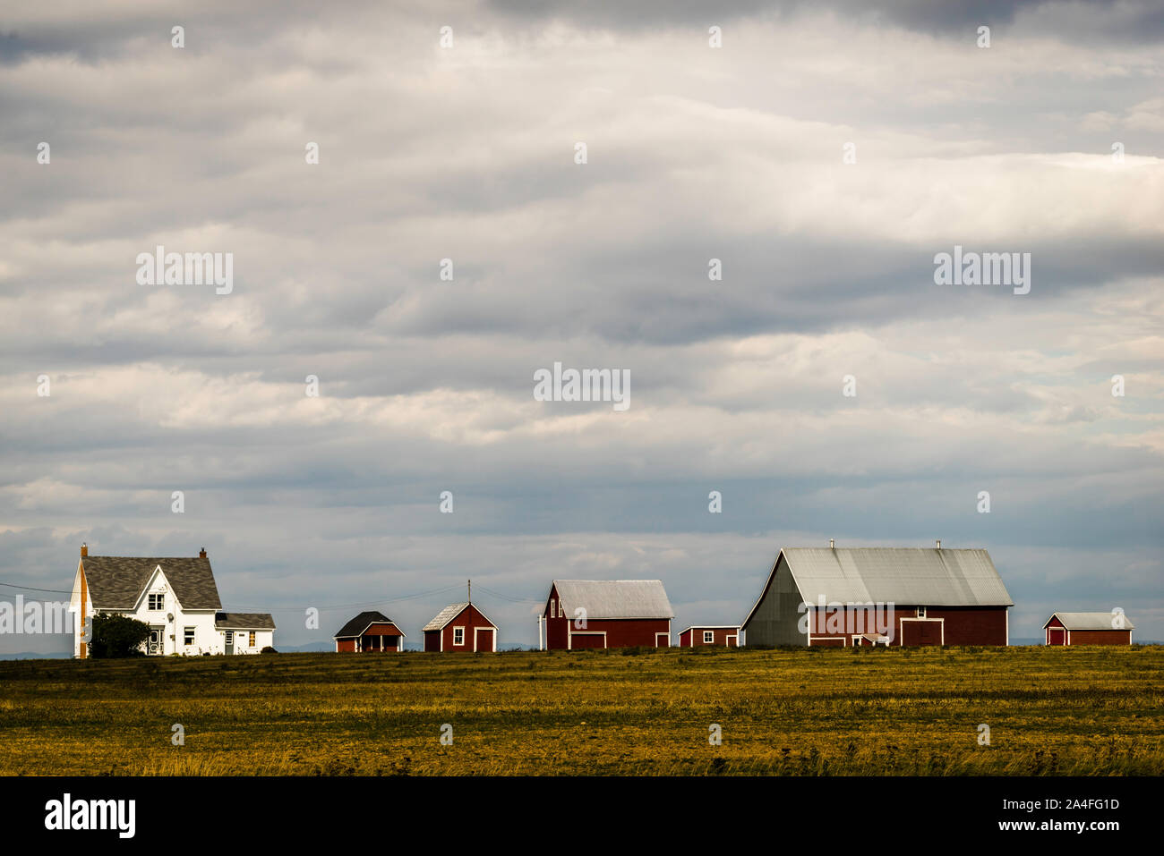 New brunswick farm hi-res stock photography and images - Alamy