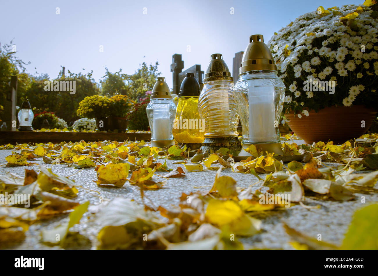 Chrysanthemum on grave in cemetery hi-res stock photography and images - Alamy