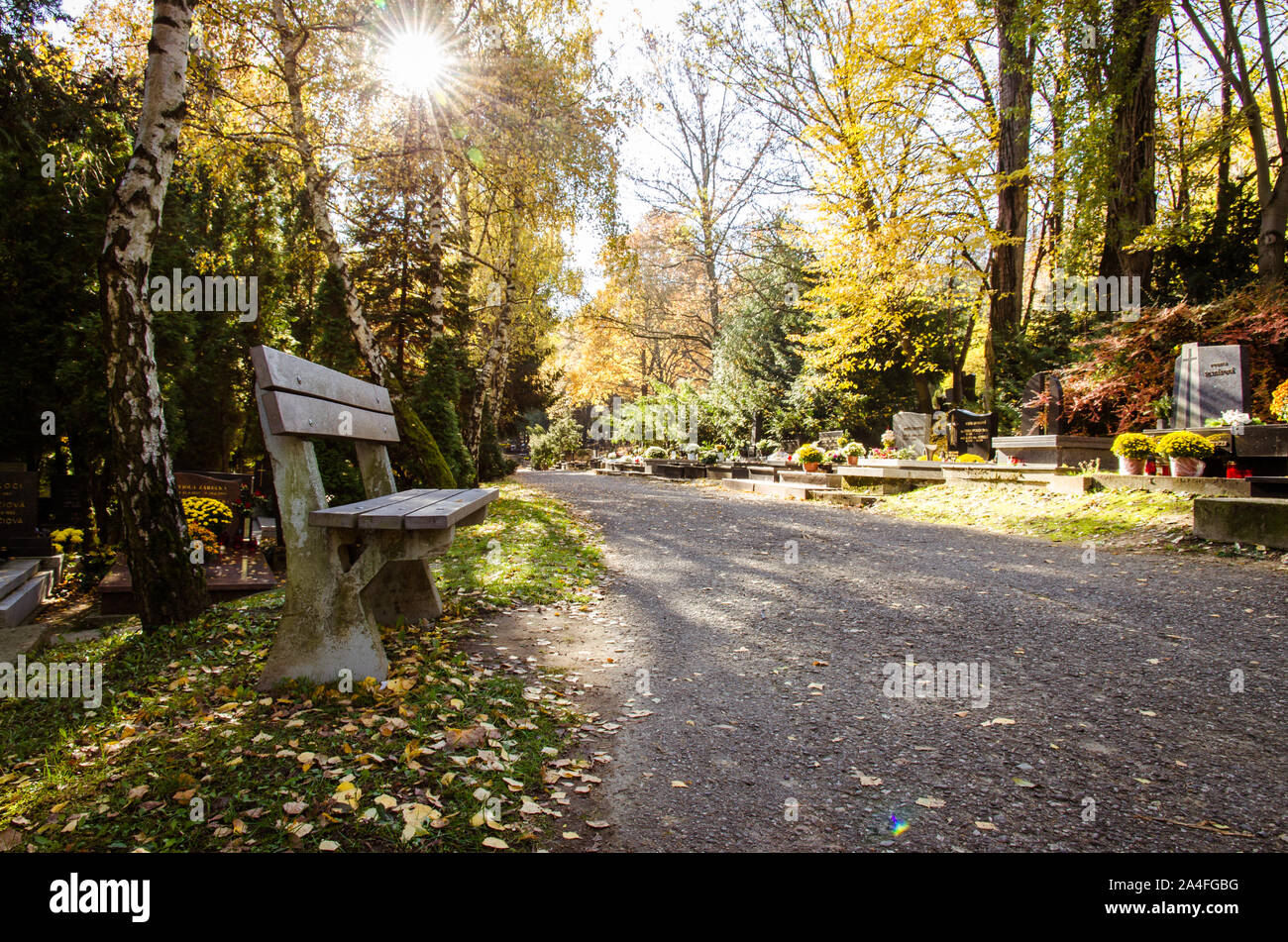bench and path in the autumn cemetery Stock Photo - Alamy