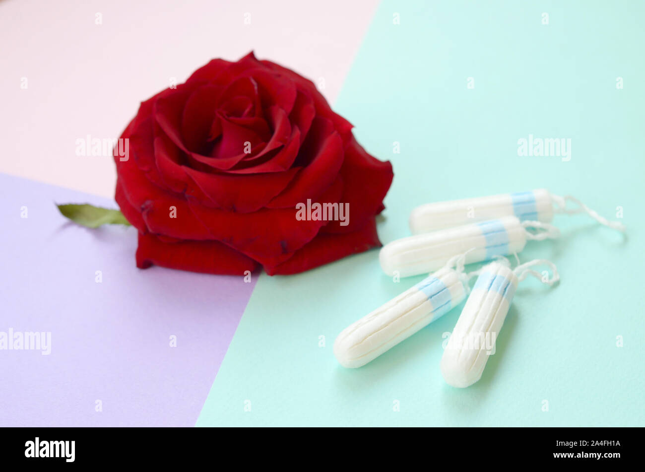 Menstrual pads and tampons and red rose flower on multicolored ...