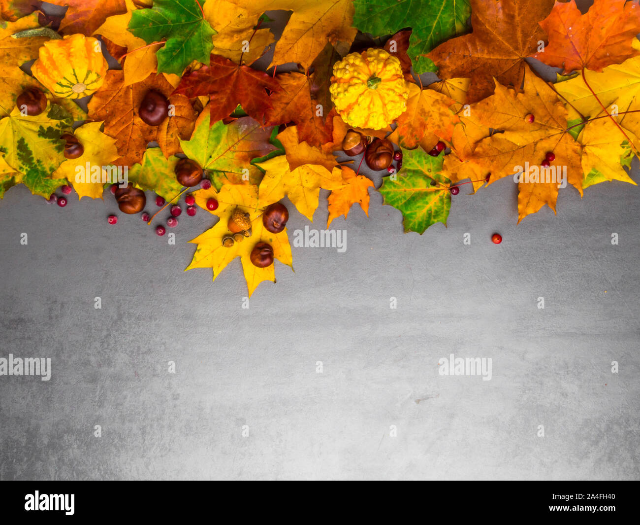 Autumn multicolored leaves foliage with pumpkins, acorns, chesnuts for ...