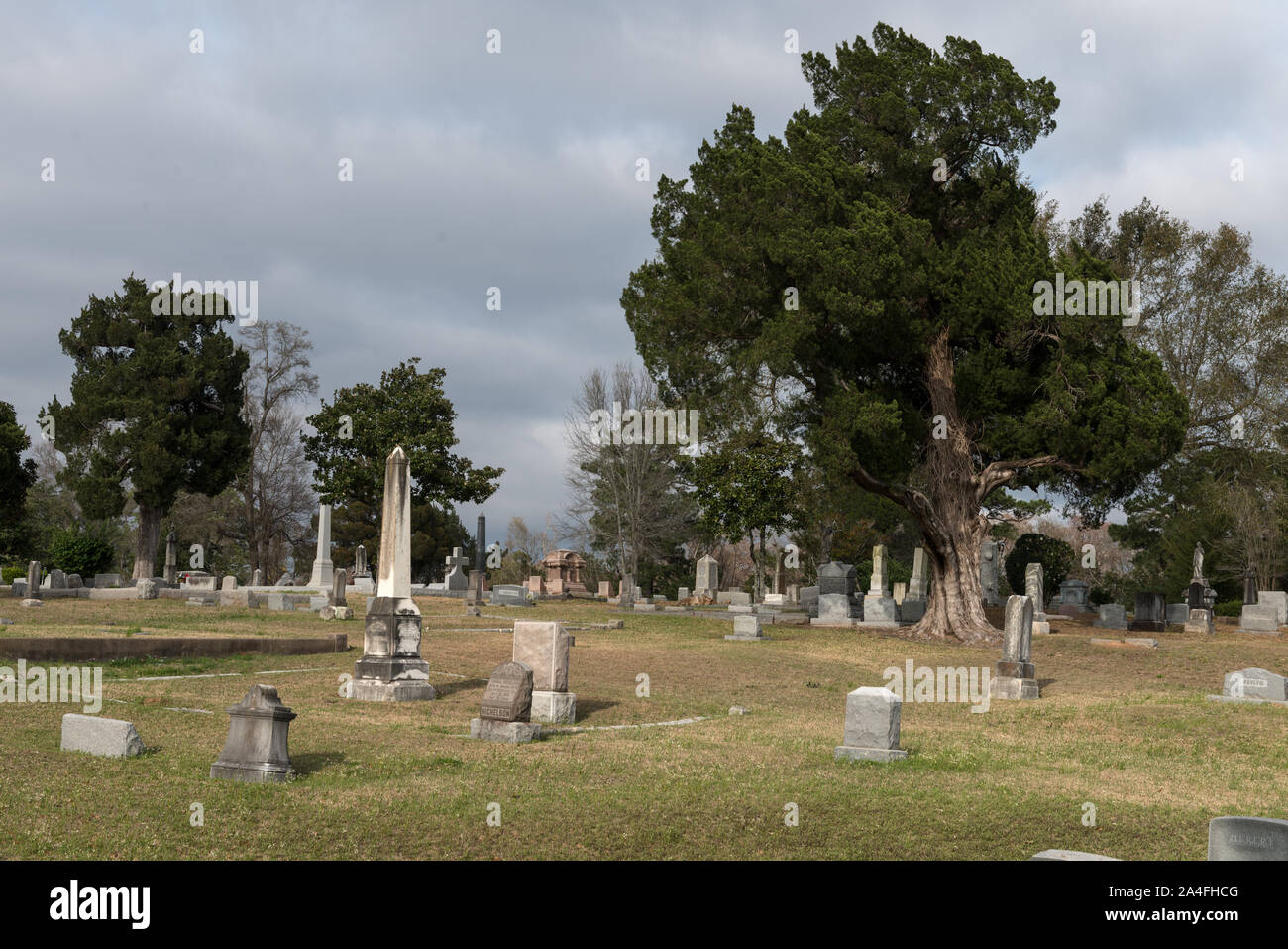 Tombstones and other markers at the Magnolia Cemetery in Beaumont ...