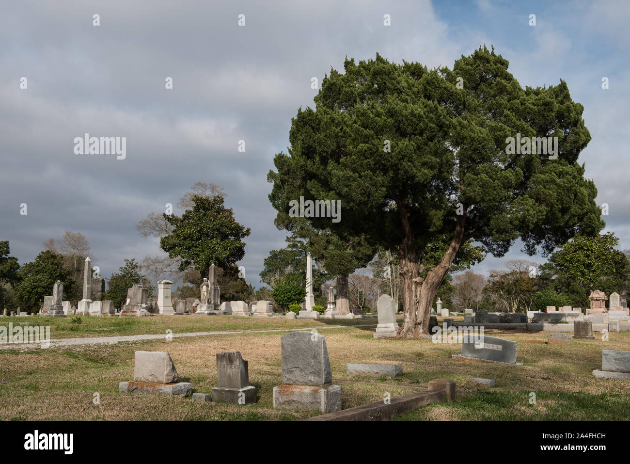 Tombstones and other markers at the Magnolia Cemetery in Beaumont ...