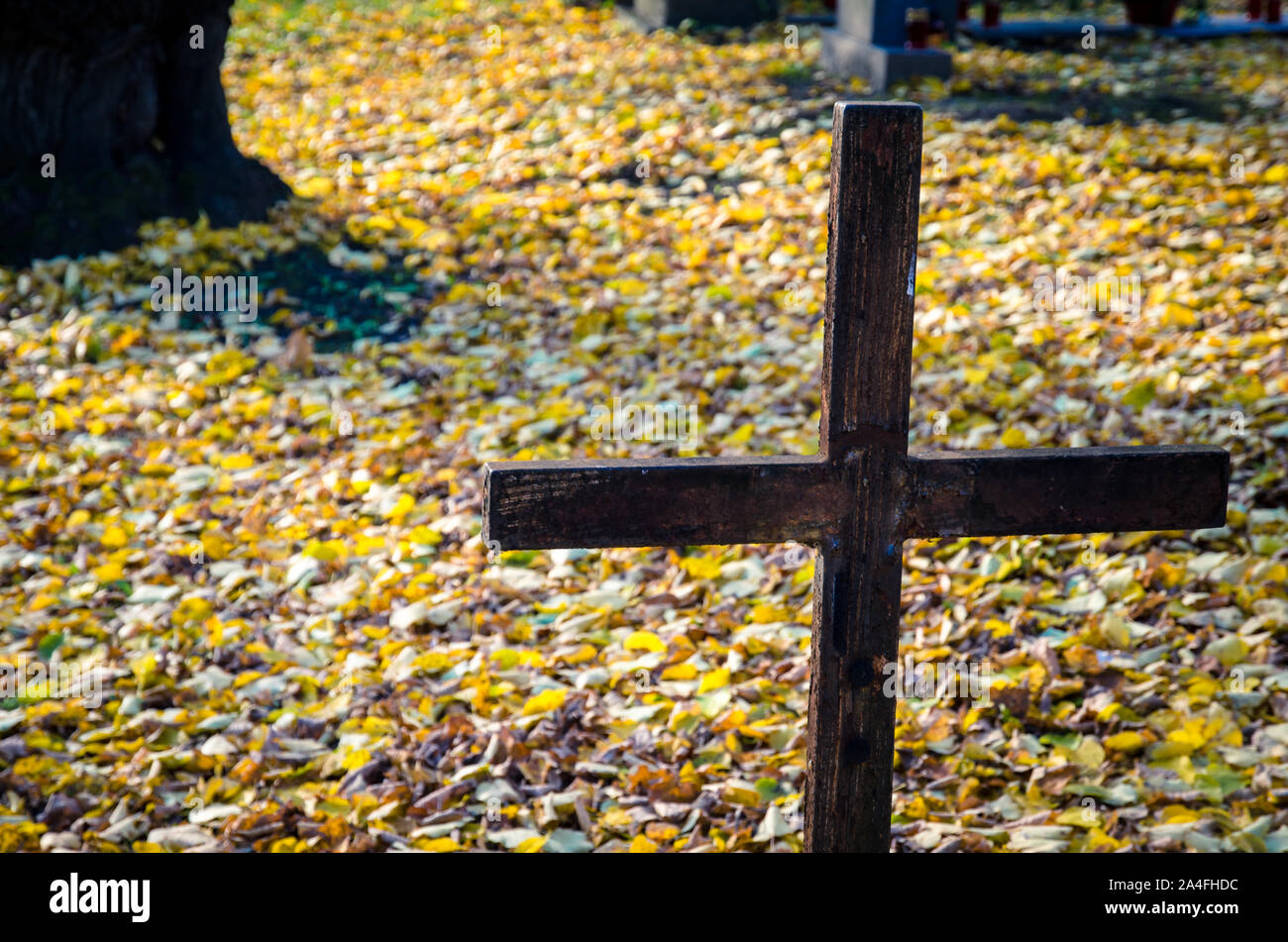 iron rusty cross symbols in the cemetery Stock Photo - Alamy