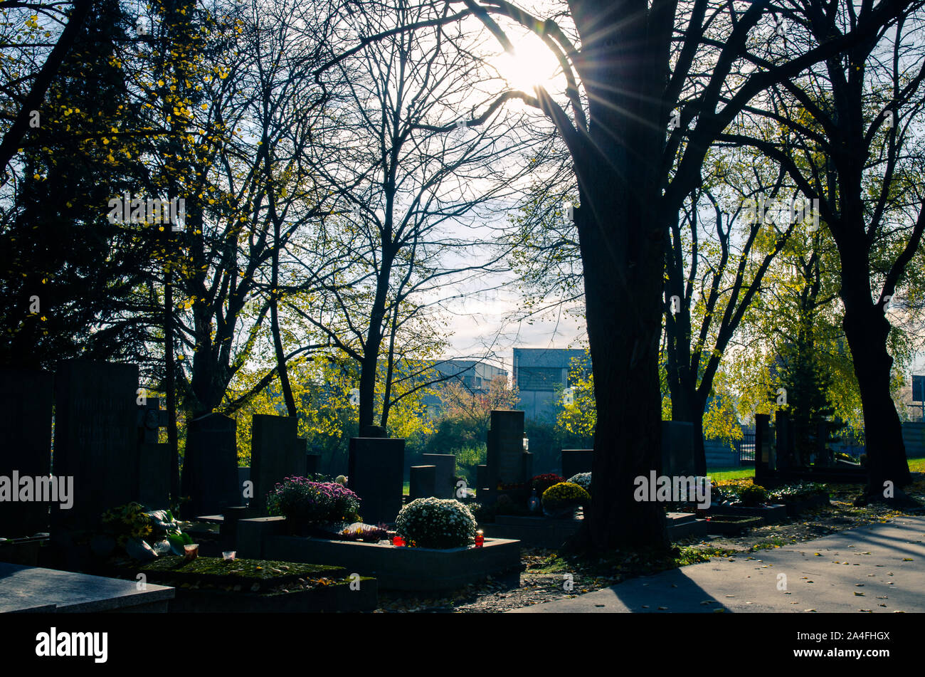 graves, tombs and trees with sunshine Stock Photo - Alamy