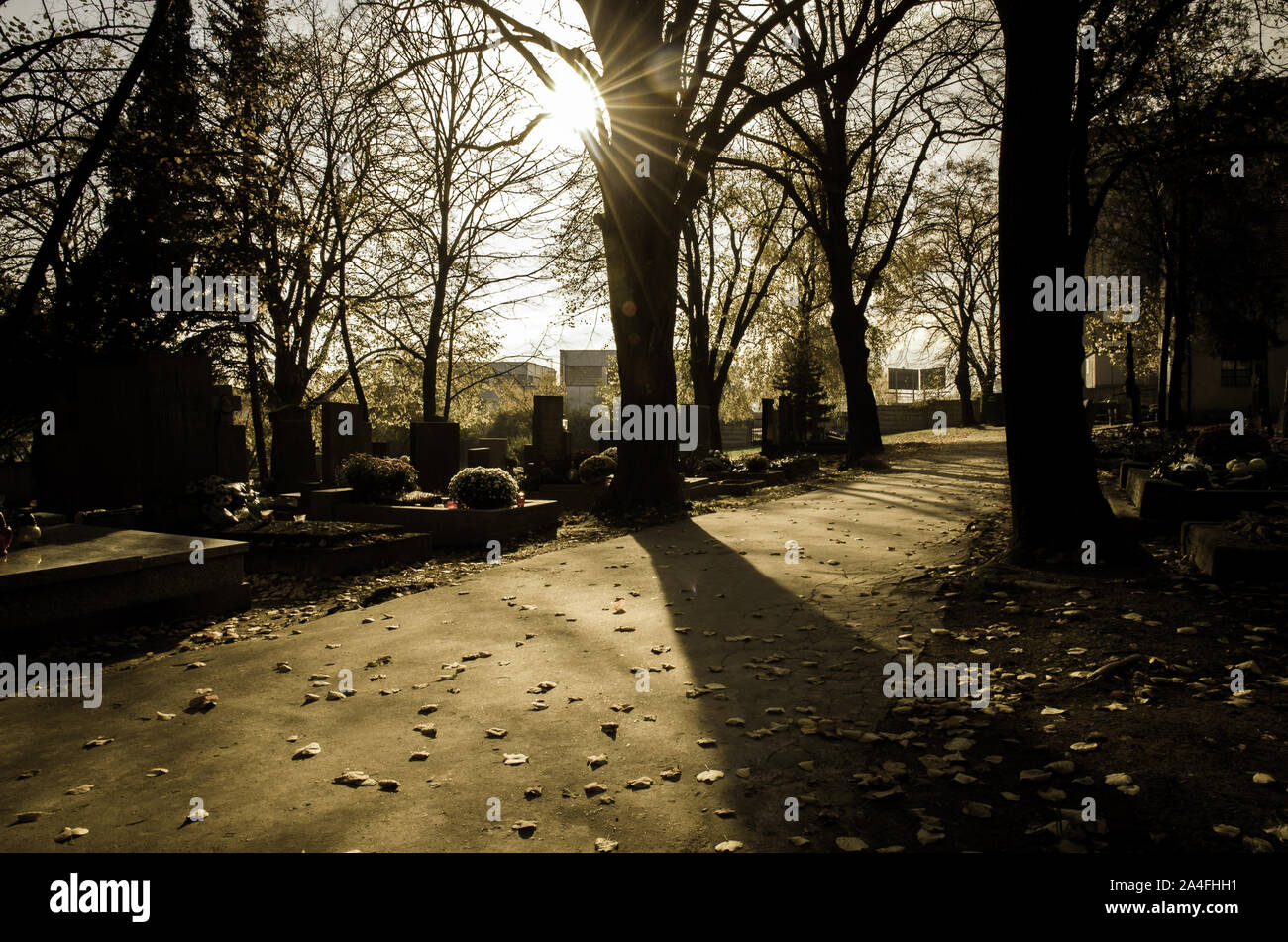 Colorful cemetery hi-res stock photography and images - Alamy