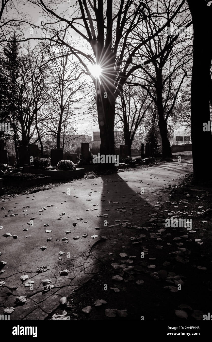 Monochrome effect hi-res stock photography and images - Alamy