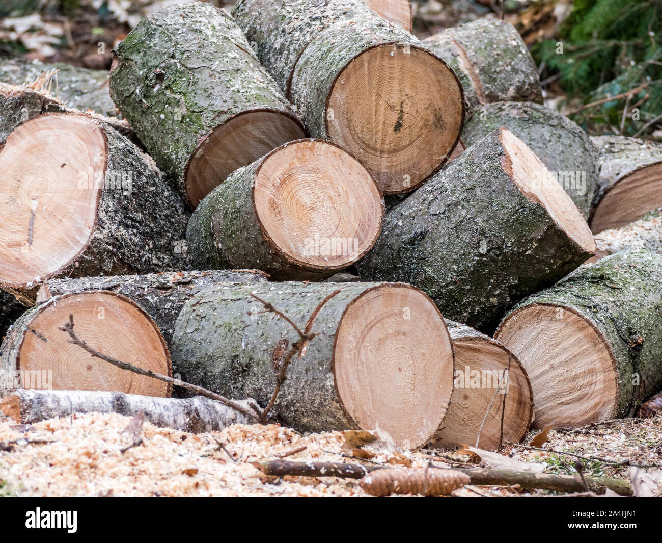Dead biomass hi-res stock photography and images - Alamy
